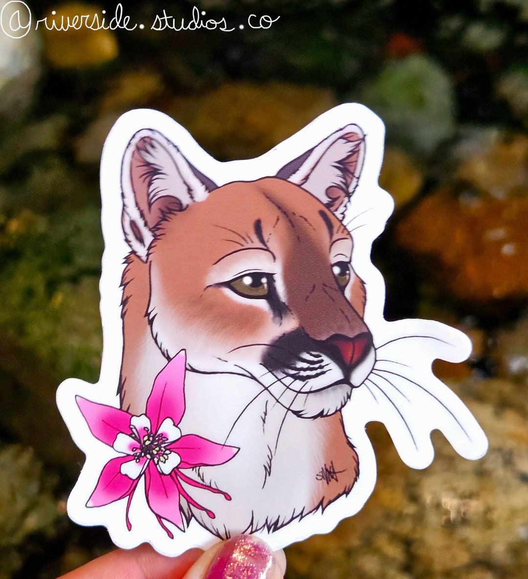 Mountain Lion Puma Cougar Vinyl Sticker 3" Columbine Flower - Original ...