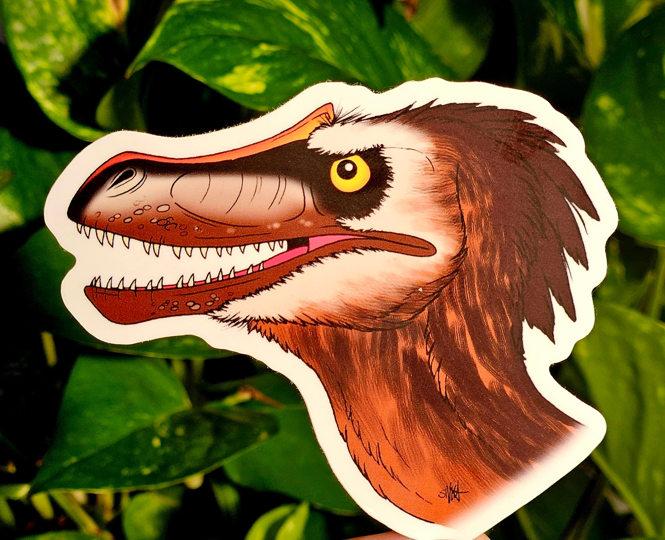 Velociraptor Vinyl Sticker 3 Original Dinosaur Paleoart - Etsy Canada