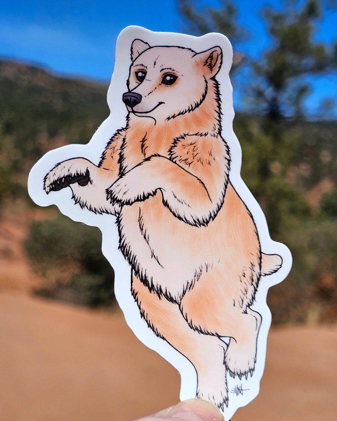 Black Spirit Kermode Bear Vinyl Sticker 3 Original Colorado Wildlife ...
