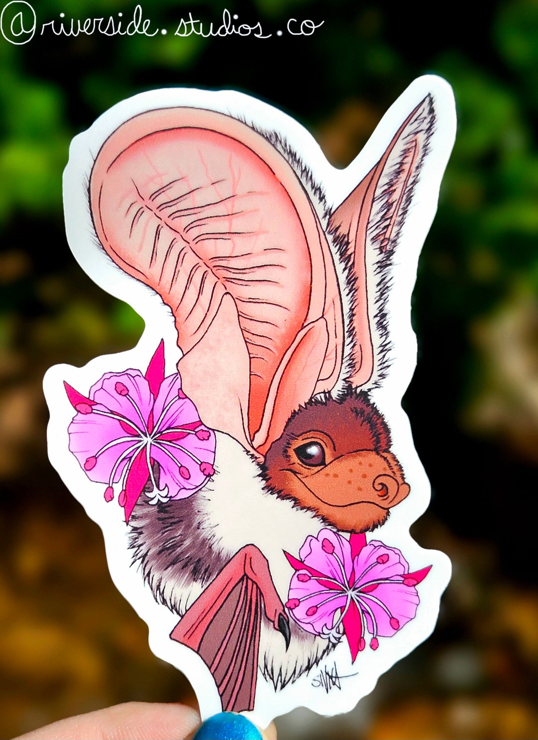 Spotted Bat Vinyl Sticker 3" Original Art Colorado Fireweed Flower - Etsy