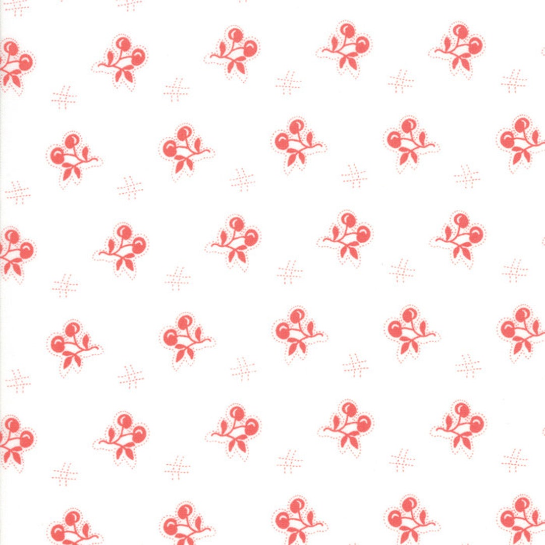 RARE 11 REMNANT Catalina by Fig Tree & Co. for Moda Fabrics, Pattern ...