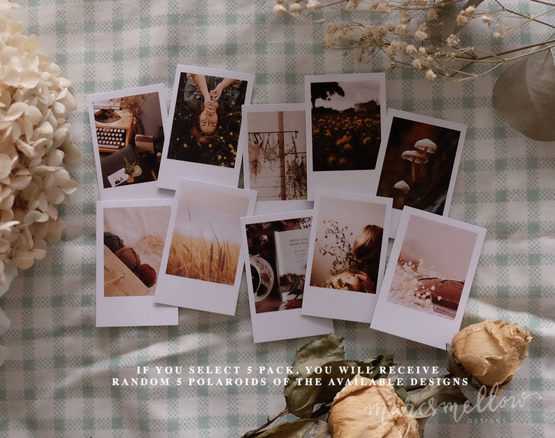 Cottagecore Themed Photo Cards Ephemeras, Aesthetic Images on White ...