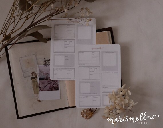 Mini Specimen Label Frames Sticker in Transparent and White | Etsy