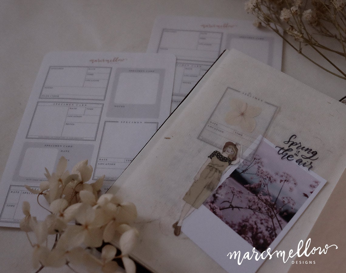 Mini Specimen Label Frames Sticker in Transparent and White | Etsy