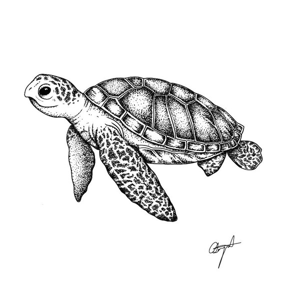 Turtle Dot Art - Etsy