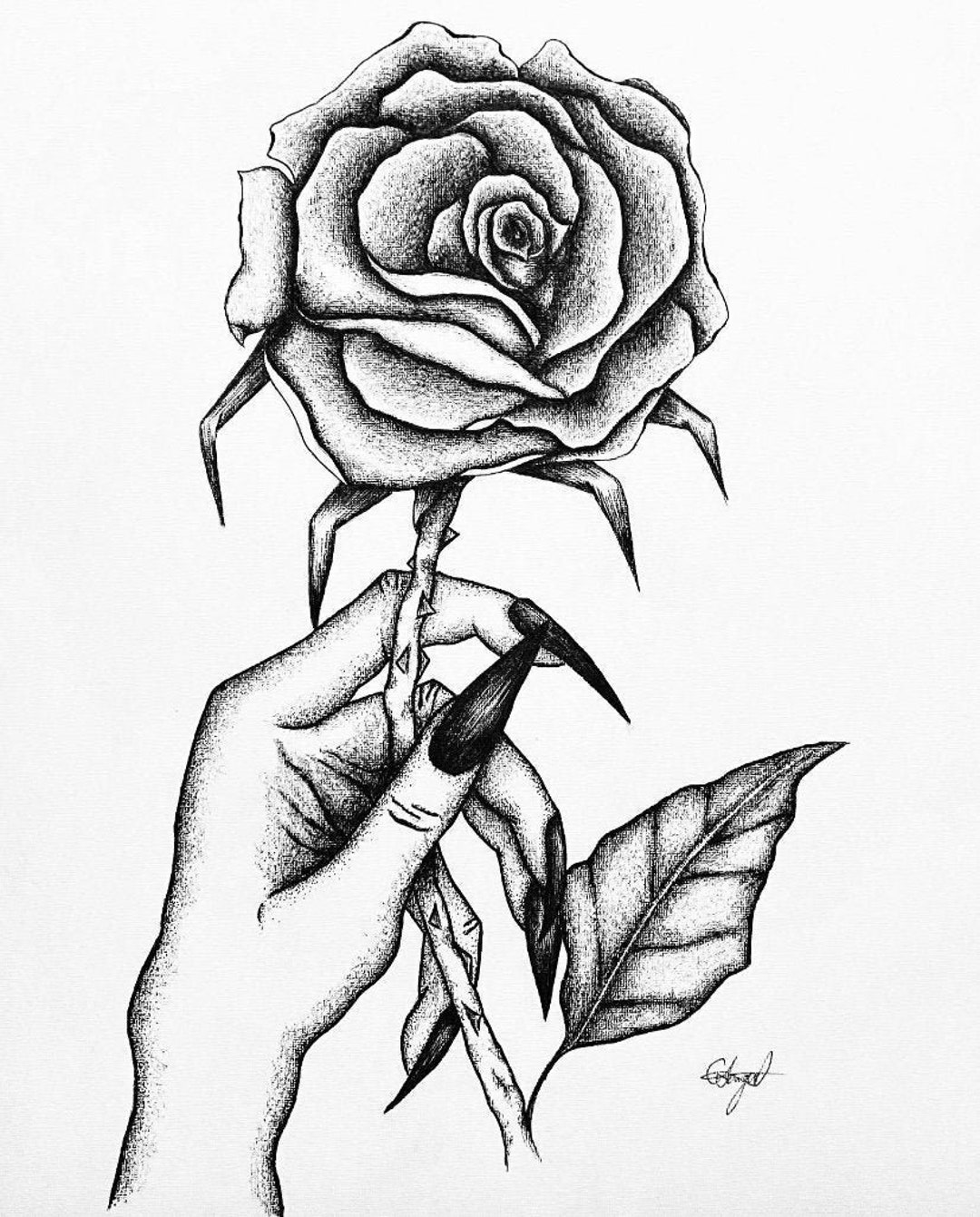 Rose Claw Drawing - Etsy