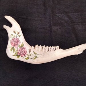 Painted Cow Jaw - Hand Painted Cow Jaw - Floral Painting - Real Bone ...
