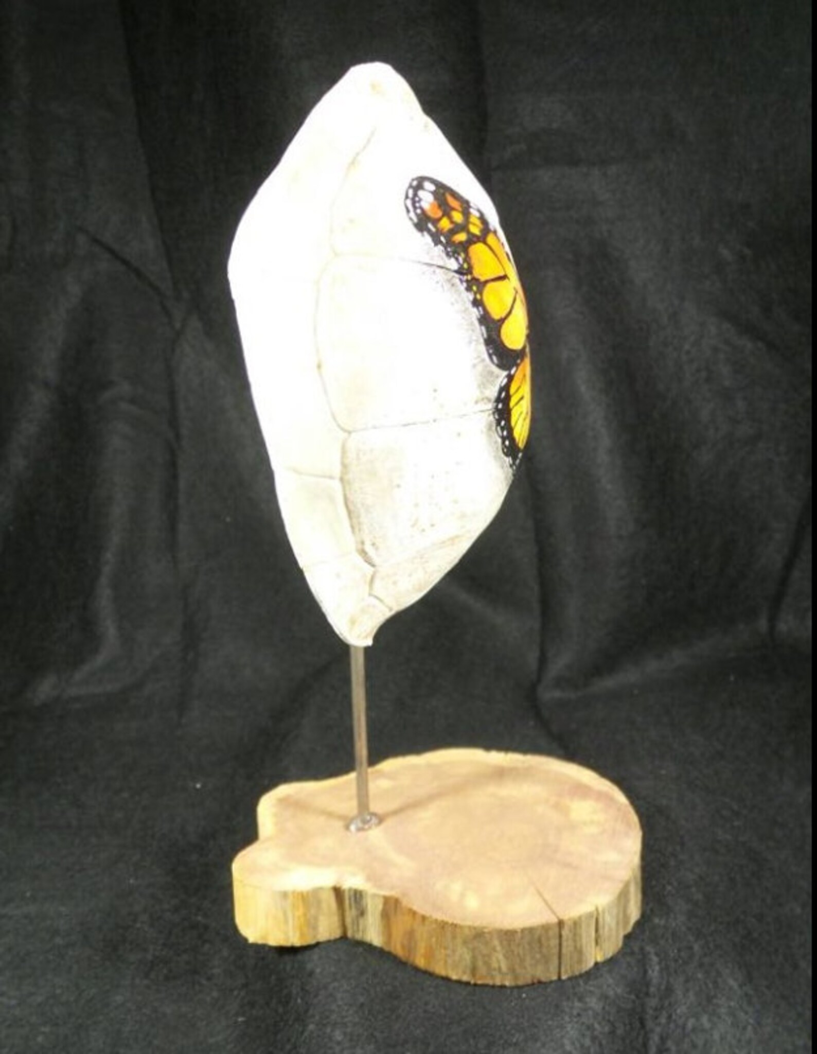 Hand Painted Turtle Shell Painted Shell Small Painted | Etsy