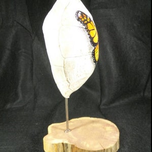 Hand Painted Turtle Shell Painted Shell, Small Painted Turtle Shell ...