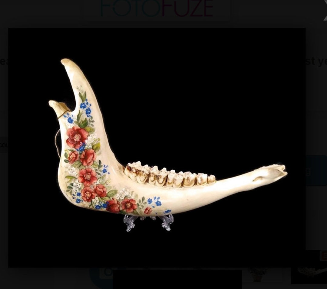 Painted Cow Jaw - Hand Painted Cow Jaw - Floral Painting - Real Bone ...