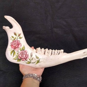 Painted Cow Jaw - Hand Painted Cow Jaw - Floral Painting - Real Bone ...