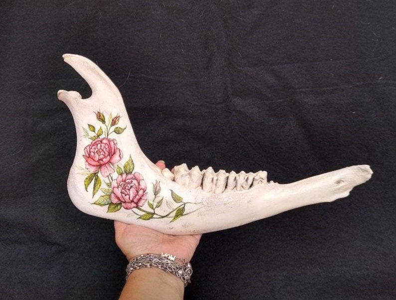 Painted Cow Jaw Hand Painted Cow Jaw Floral Painting - Etsy