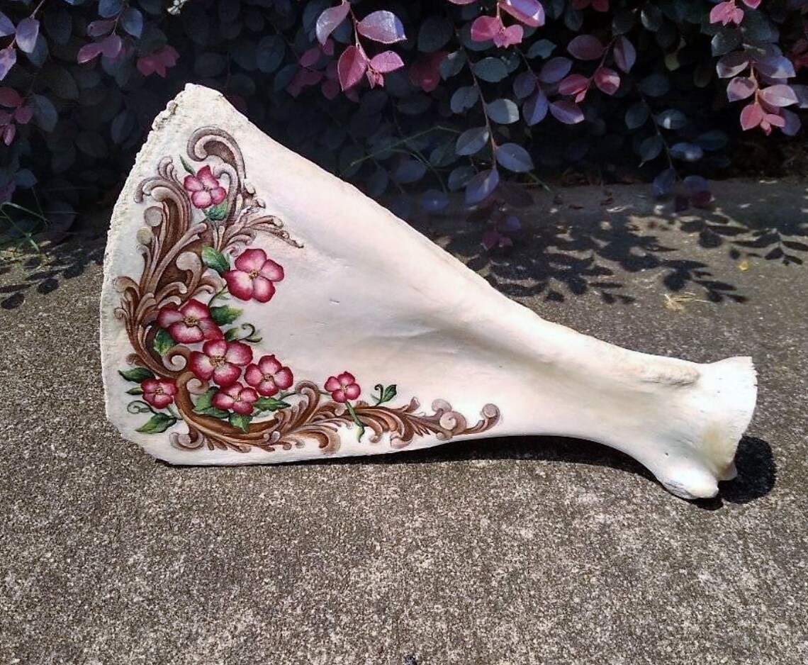Painted Cow Shoulder Blade - Painted Cow Scapula - Cow Scapula - Cow ...