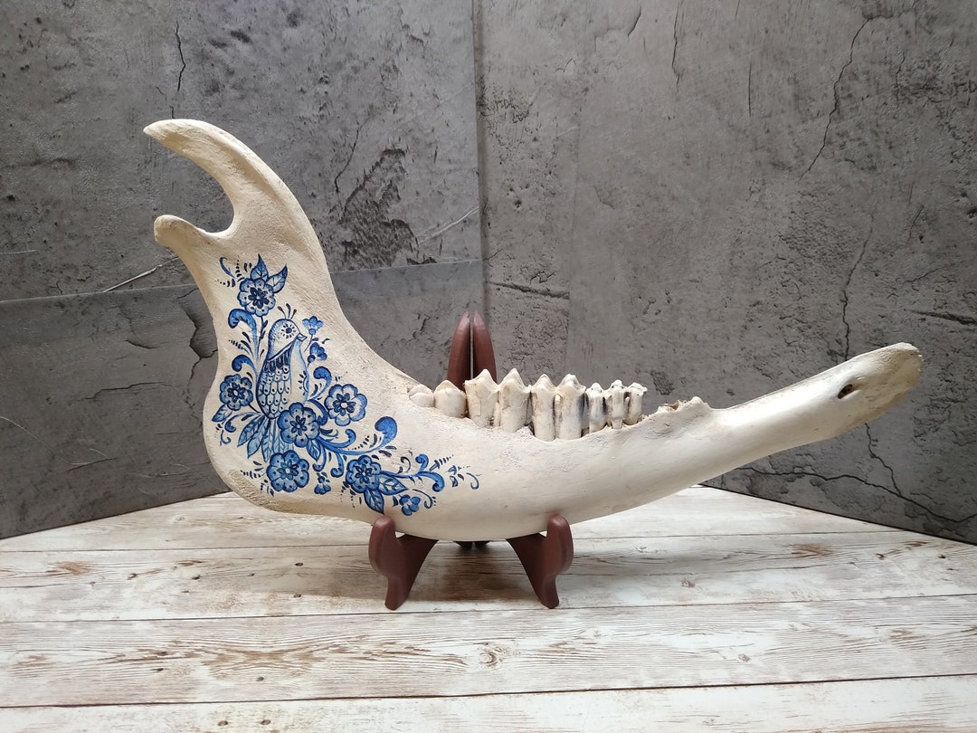 Painted Cow Jaw - Hand Painted Cow Jaw - Floral Painting - Real Bone ...