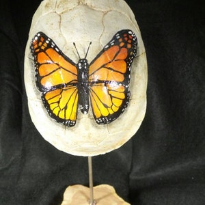 Hand Painted Turtle Shell Painted Shell, Small Painted Turtle Shell ...