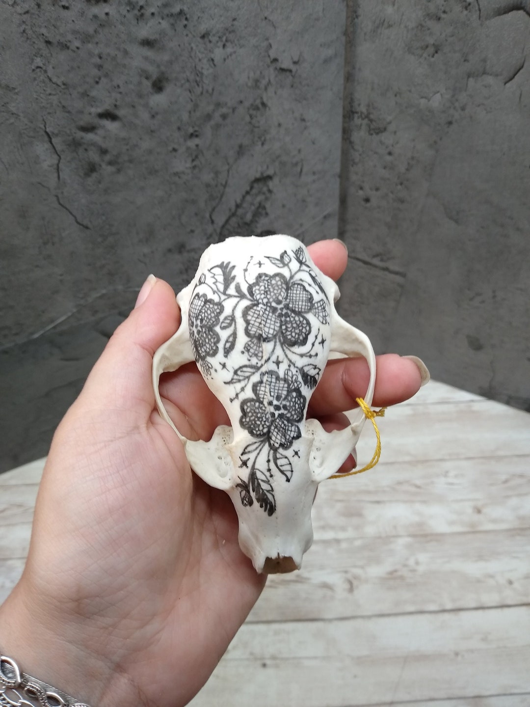 Hand Painted and Carved Skull - Painted Racoon Skull - Carved Skull ...