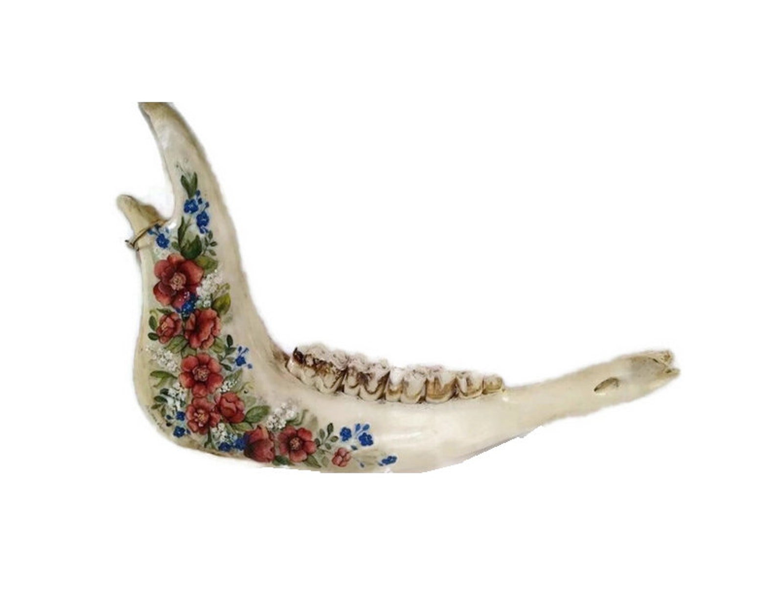 Painted Cow Jaw Hand Painted Cow Jaw Floral Painting - Etsy
