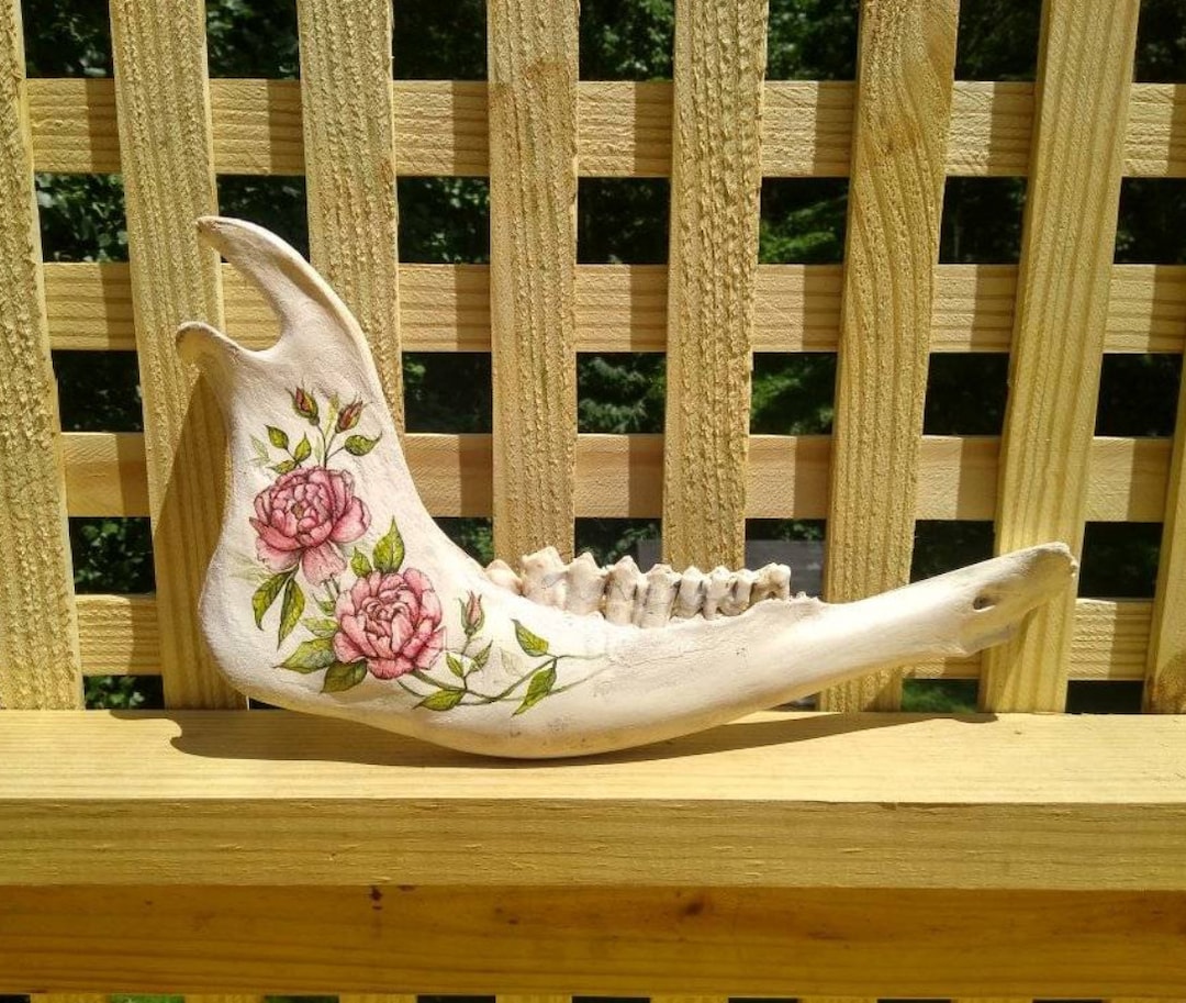 Painted Cow Jaw - Hand Painted Cow Jaw - Floral Painting - Real Bone ...