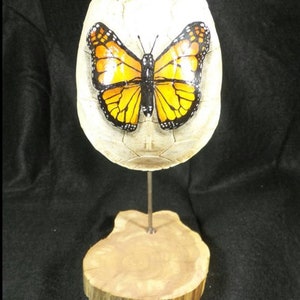 Hand Painted Turtle Shell Painted Shell, Small Painted Turtle Shell ...