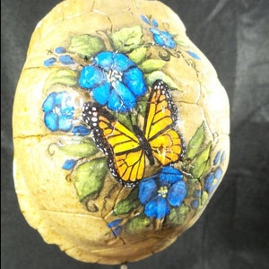 Hand Painted Turtle Shell - Painted Shell, Small Painted Turtle Shell ...