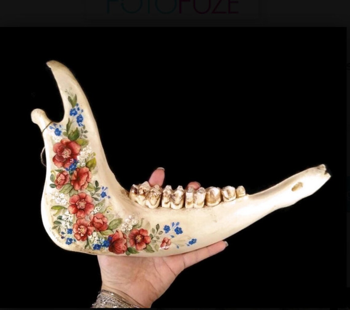 Painted Cow Jaw Hand Painted Cow Jaw Floral Painting - Etsy