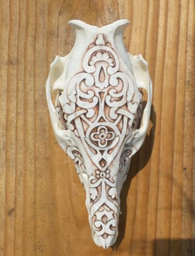 Painted Skull Decorative Boar Skull Reall Taxidermy Pig | Etsy