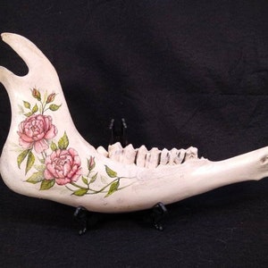 Painted Cow Jaw - Hand Painted Cow Jaw - Floral Painting - Real Bone ...