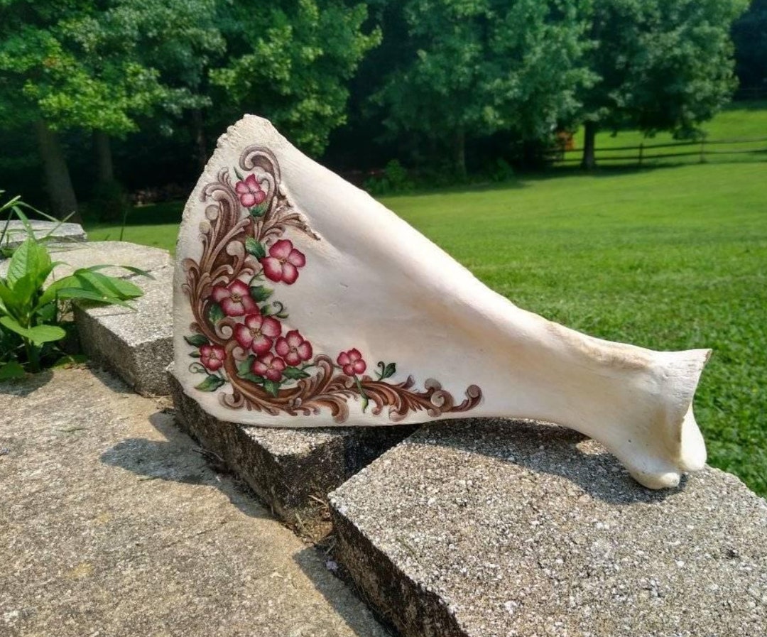 Painted Cow Shoulder Blade - Painted Cow Scapula - Cow Scapula - Cow ...