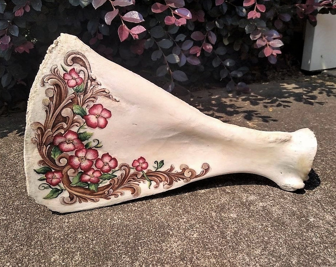Painted Cow Shoulder Blade - Painted Cow Scapula - Cow Scapula - Cow ...