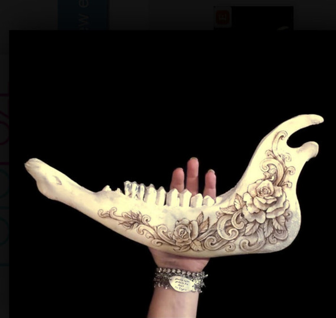 Painted Cow Jaw Hand Painted Cow Jaw Rose Painting Real | Etsy