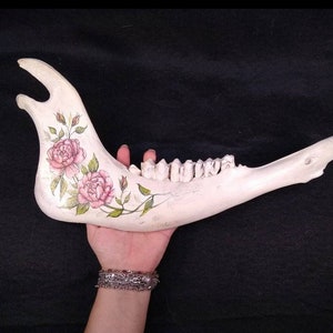 Painted Cow Jaw - Hand Painted Cow Jaw - Floral Painting - Real Bone ...