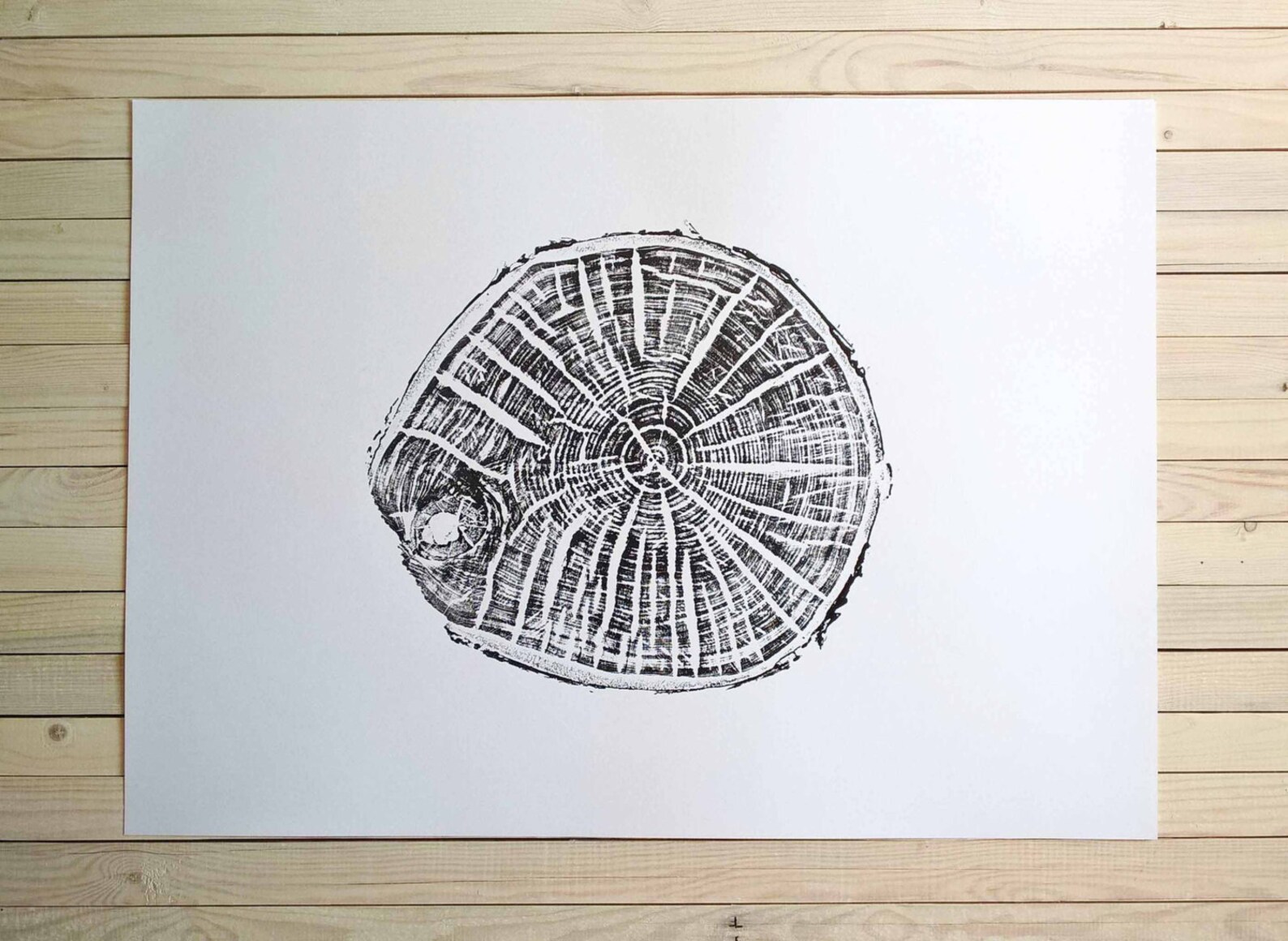 Tree Ring Print, Original Handmade Print of Birch, Gift for 55th ...