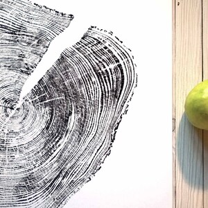 Original Hand Pressed Print, 80 Years Old Spruce - Etsy