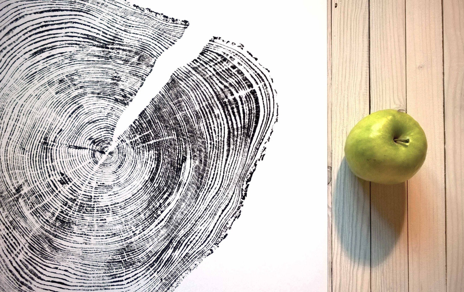 Original Hand Pressed Print, 80 Years Old Spruce - Etsy