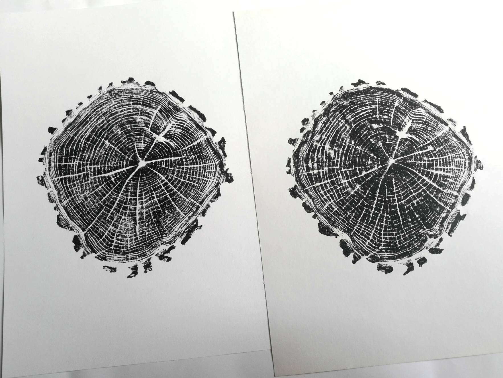 Tree Print Tree Ring Print Rustic Print Original Handmade - Etsy