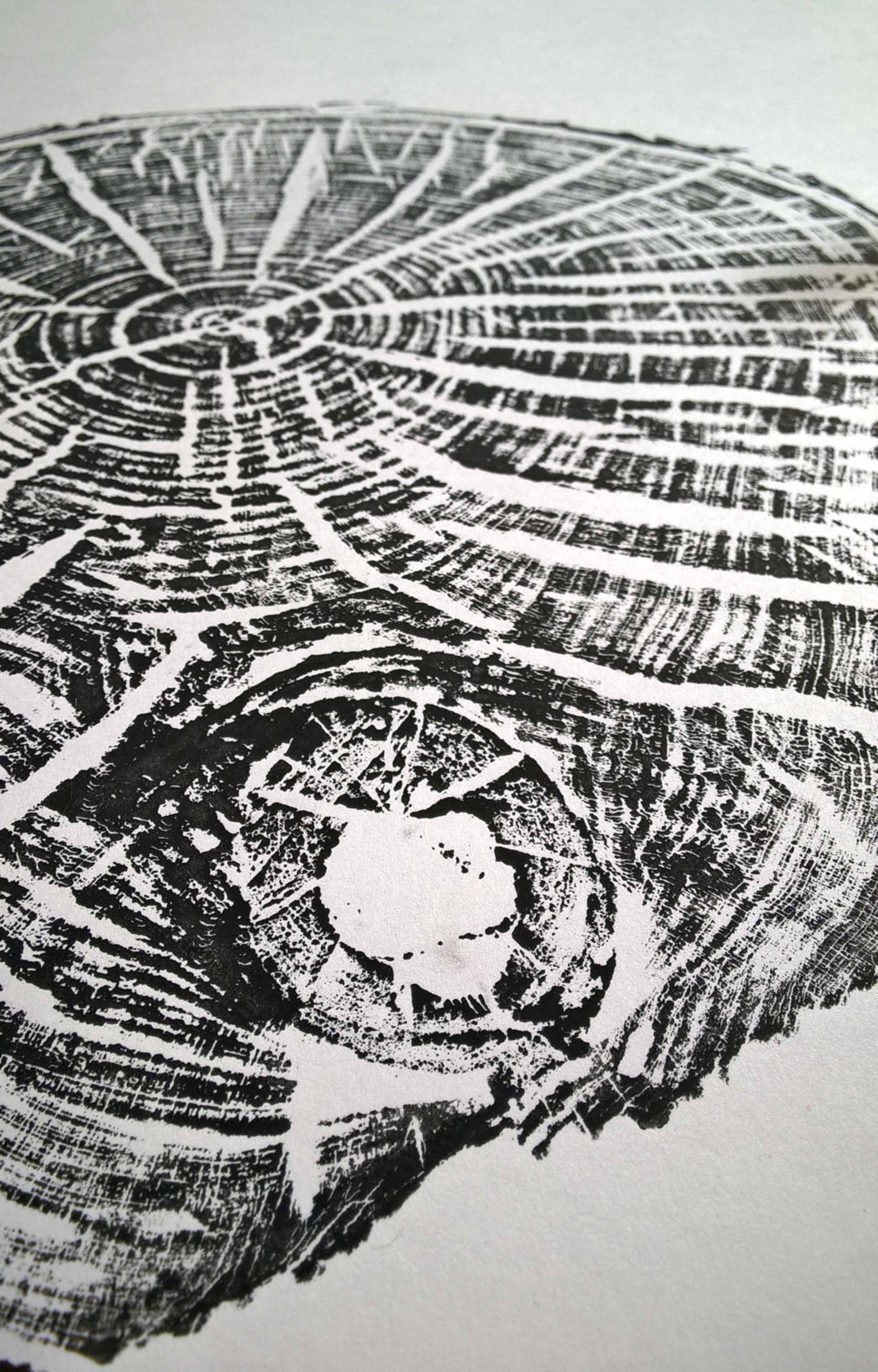Tree Ring Print, Original Handmade Print of Birch, Gift for 55th ...