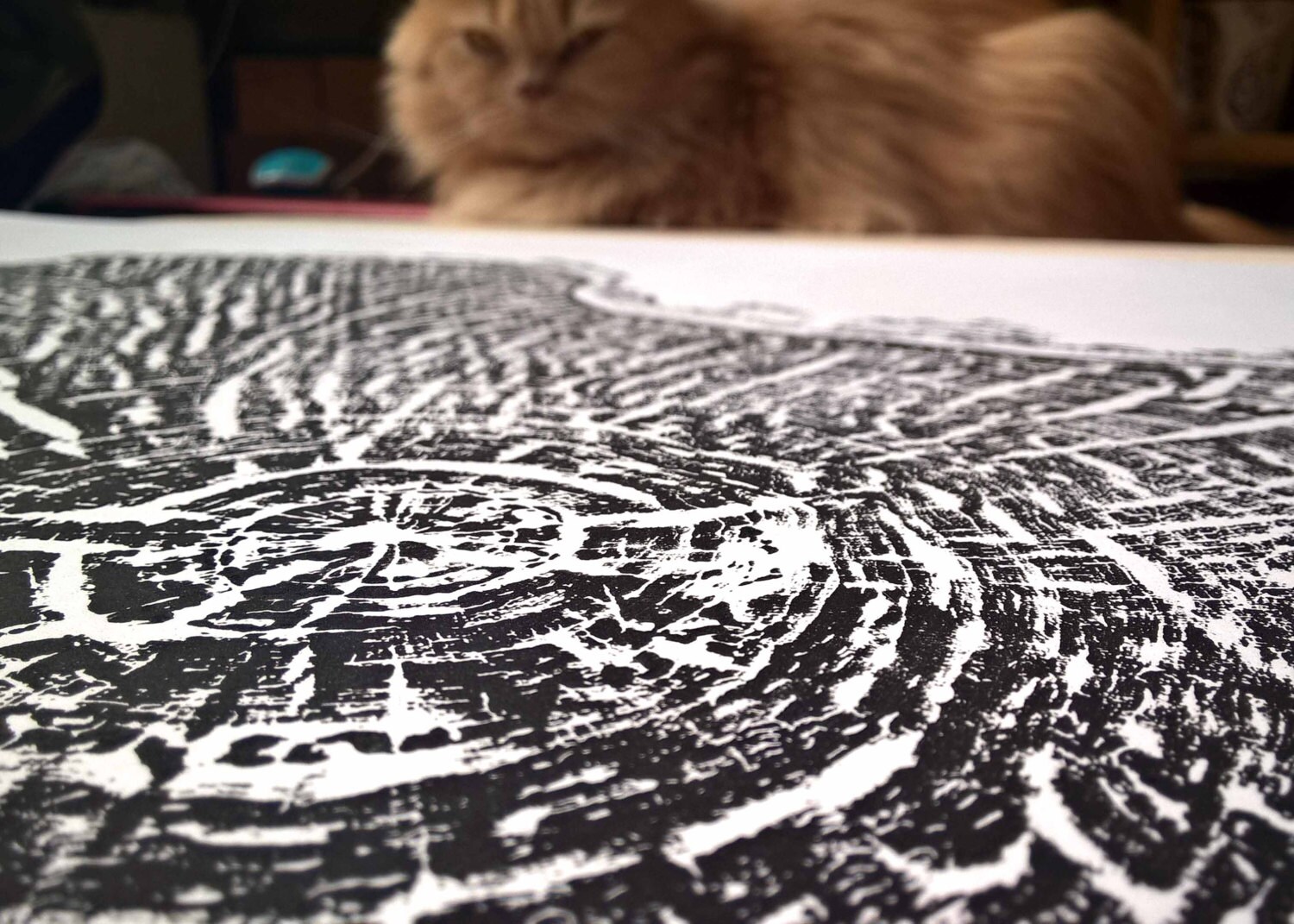 Original Hand-pressed Print. Wall Art. Big Unusually Shaped - Etsy