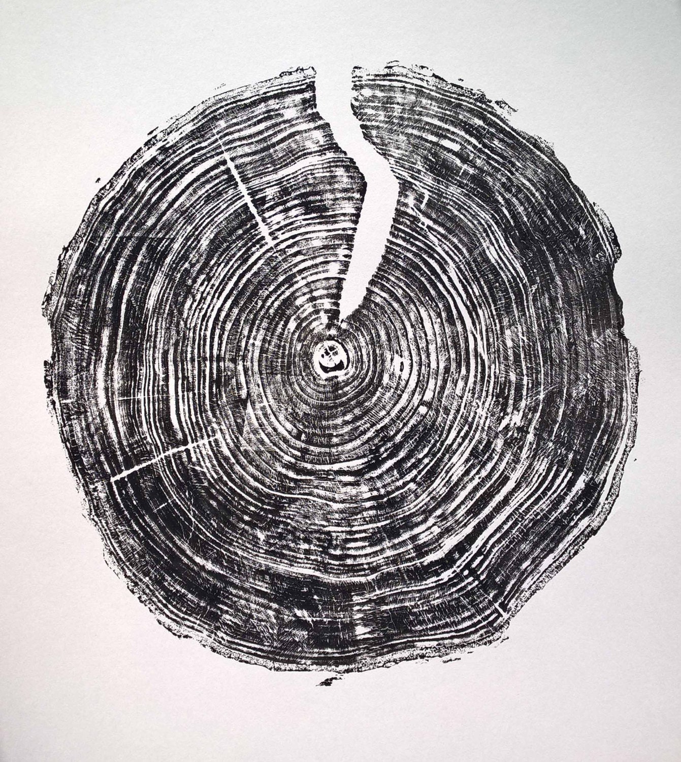 Years With Tree Rings