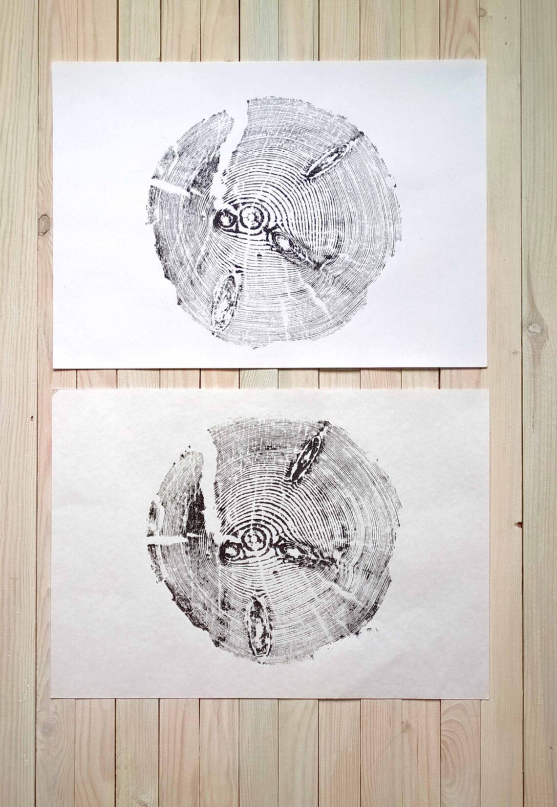 Original Hand Pressed Print of Pine Tree. Wall Decor Idea - Etsy