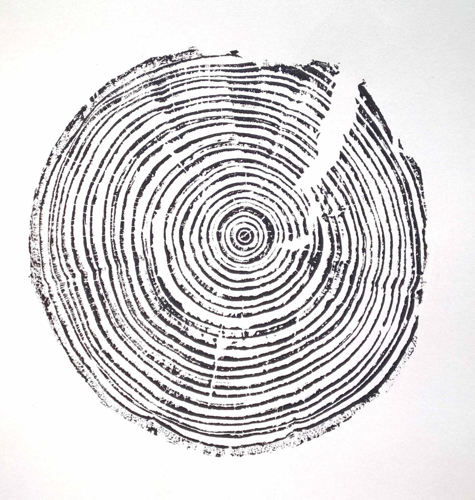 30 Years Old Spruce, Original Woodcut Print, Wall Decor - Etsy