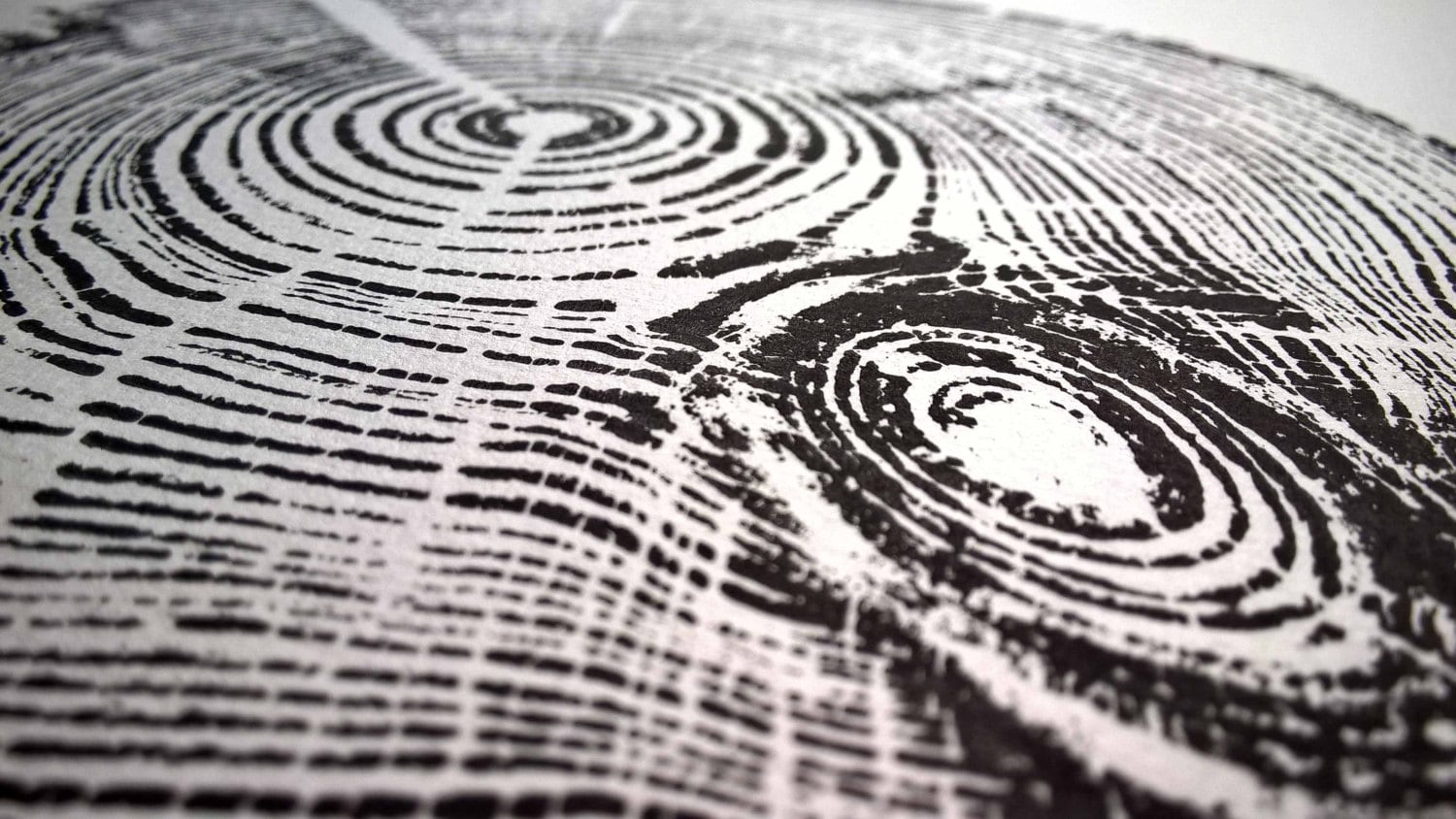 Tree Print Tree Ring Print Rustic Print Original Handmade - Etsy