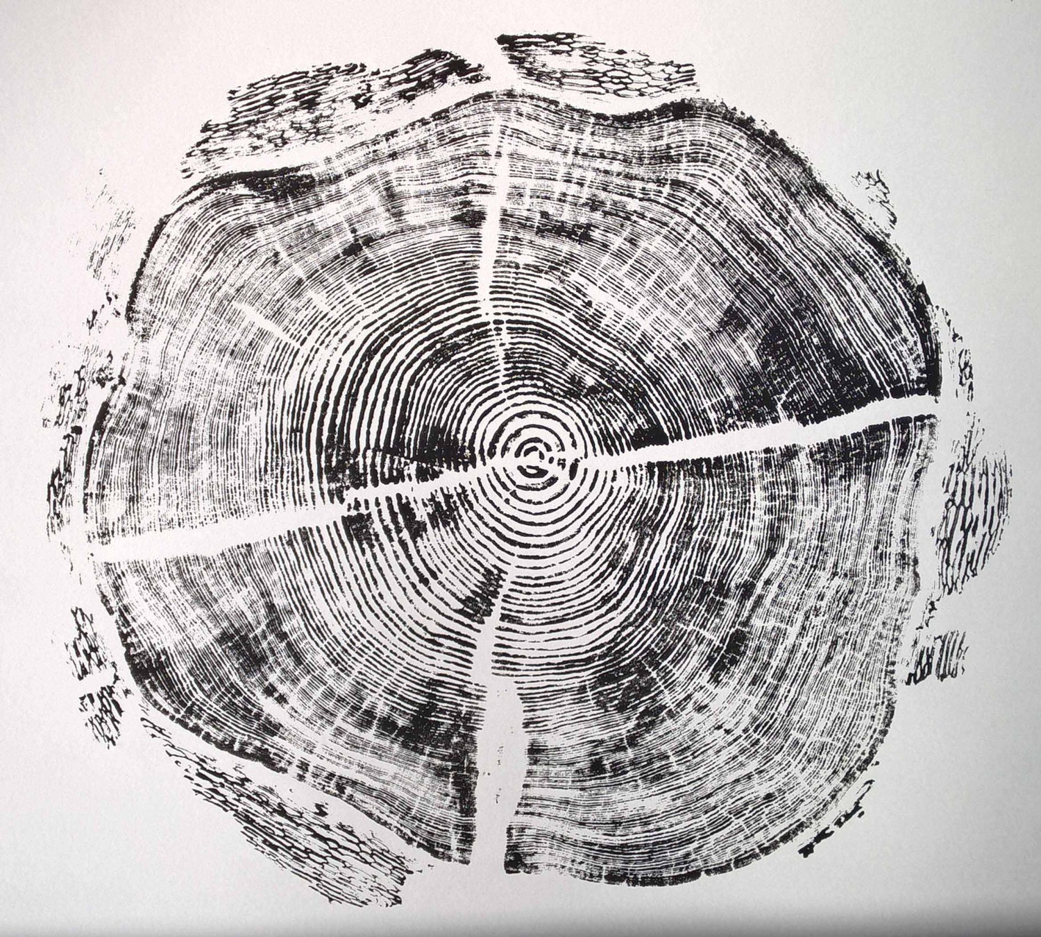 Original Print of Old Pine, Handmade Wall Decor - Etsy