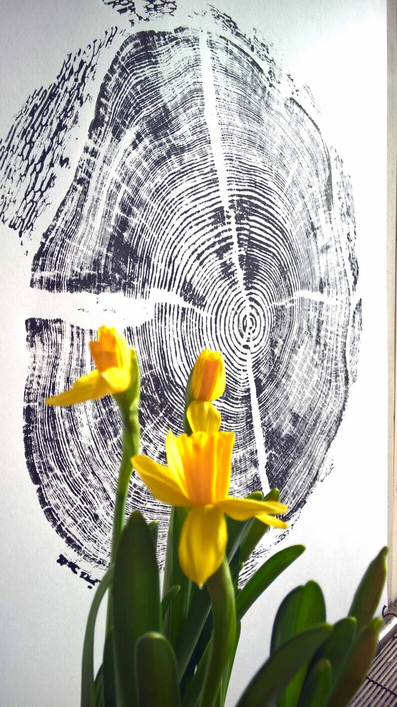 Original Print of Old Pine, Handmade Wall Decor - Etsy