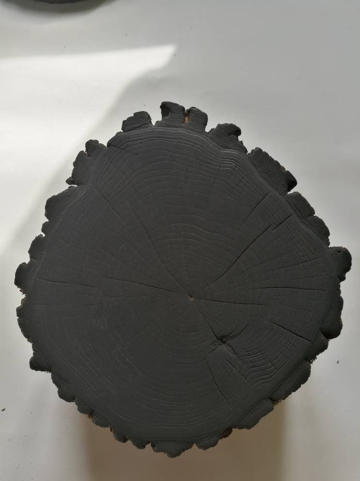 Tree Print Tree Ring Print Rustic Print Original Handmade - Etsy