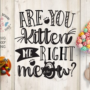 Cat Svg, Pets Svg, Kitten Svg, Meow Svg, Are You Kitten Me Right Meow ...