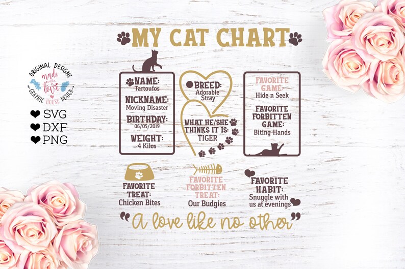 Pet Stats Chart Cat Stats Chart Funny Pet SVG Pet Sign Svg - Etsy