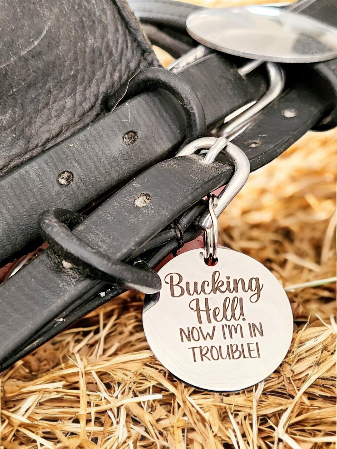 Bridle, Saddle and Headcollar Tags, Safety for If You Fall off Your ...