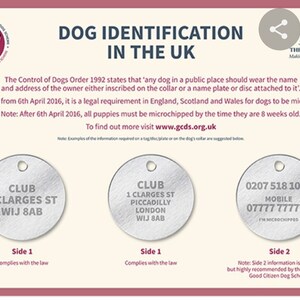 Pet Princess Prince Tags Engraved, Stainless Steel Available in Silver ...