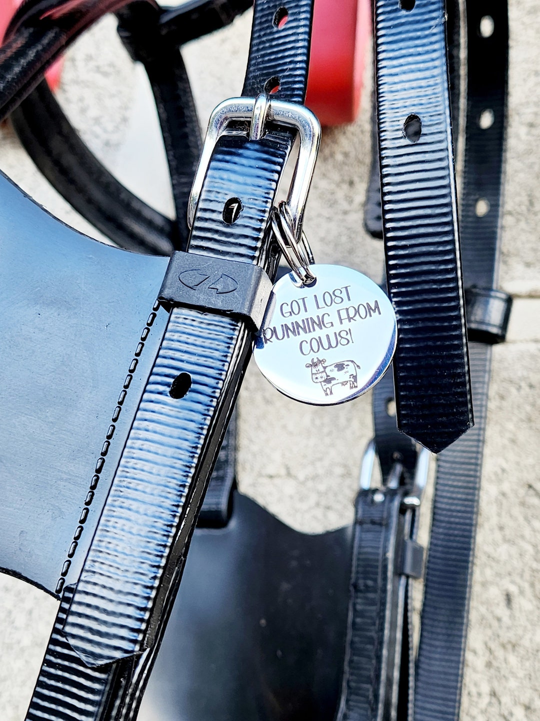 Bridle, Saddle and Headcollar Tags, Safety for If You Fall off Your ...