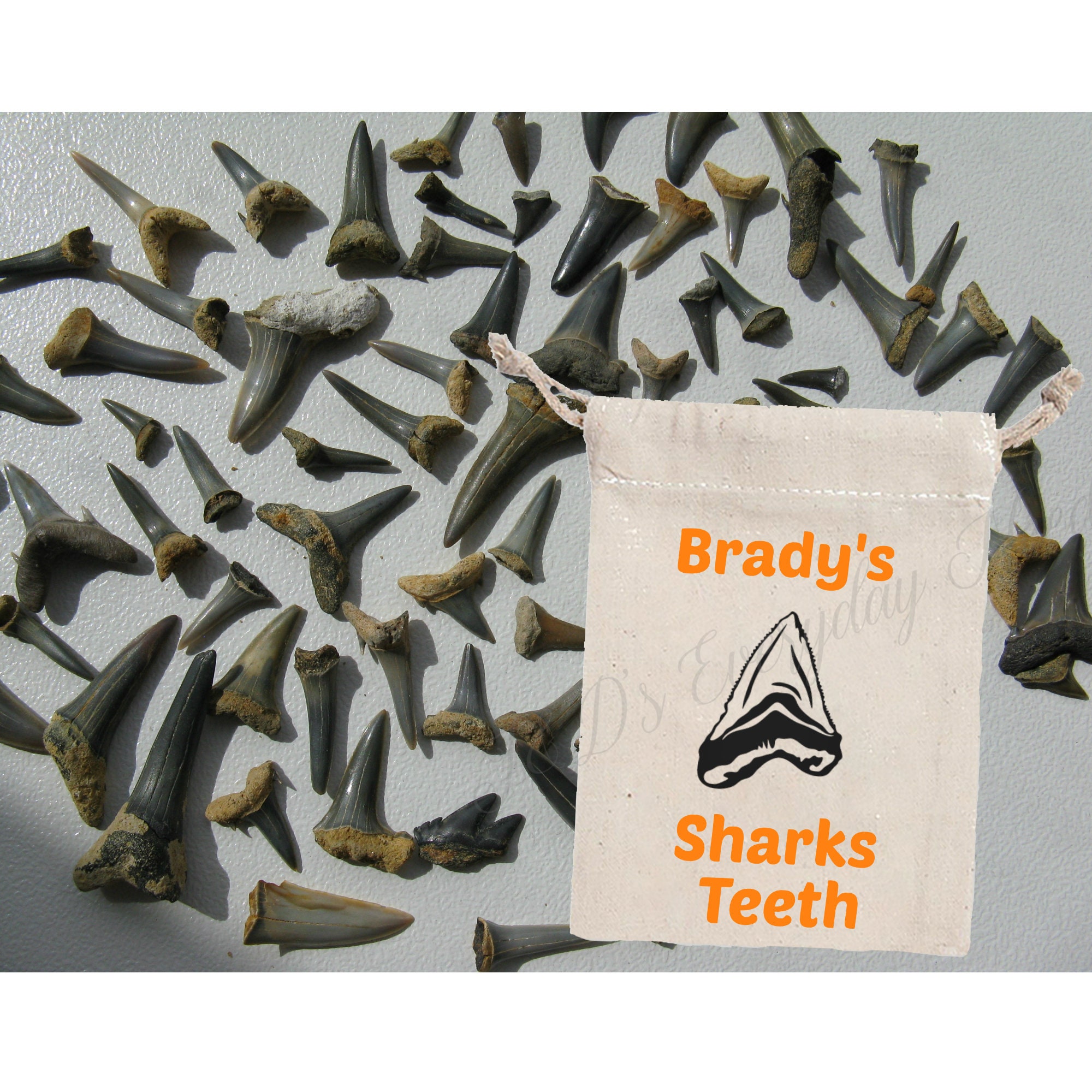 Shark Teeth Bag Personalized Drawstring Bag Shark Tooth | Etsy